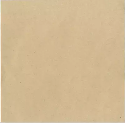 AR11008097 : PAPIER LISSE KRAFT FEE DU SCRAP