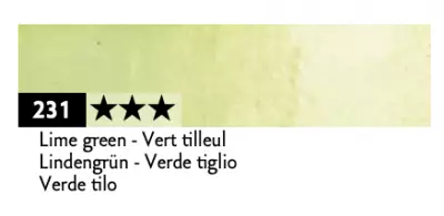 PASTEL CLASSIC NEOCOLOR II VERT TILLEUL FEE DU SCRAP